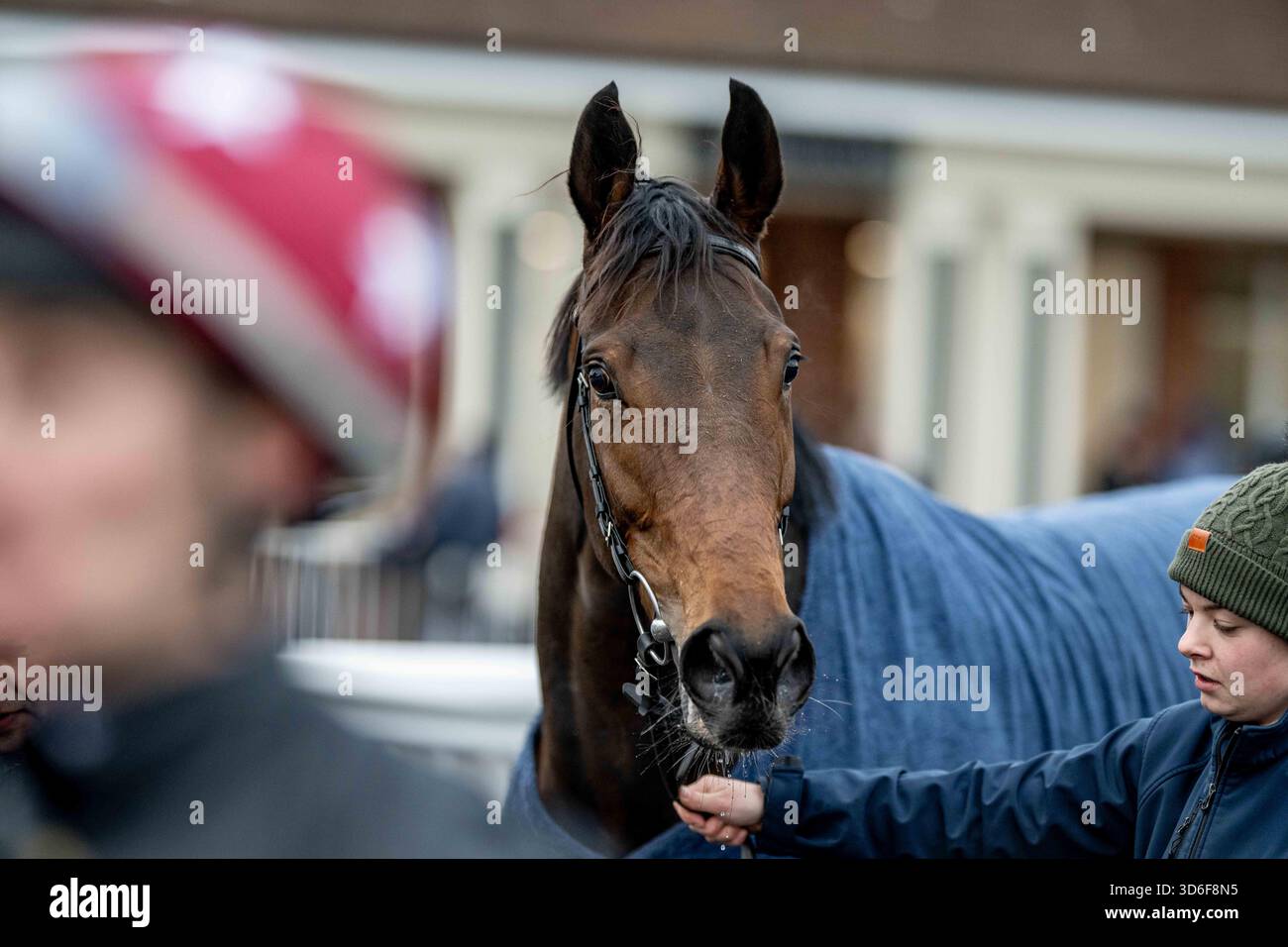 The BetMGM Fleur de Lys EBF Fillies' Stakes (Class 1)(Listed Race) 🥇Sky ...