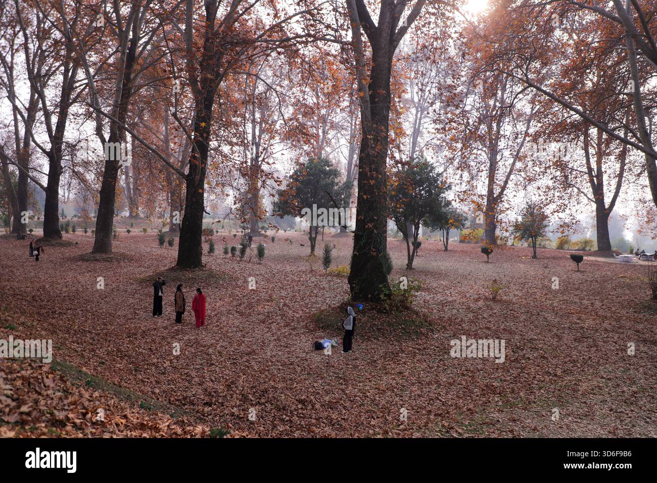 November 20, 2025, Srinagar, Kashmir, India: People visit the Mughal ...