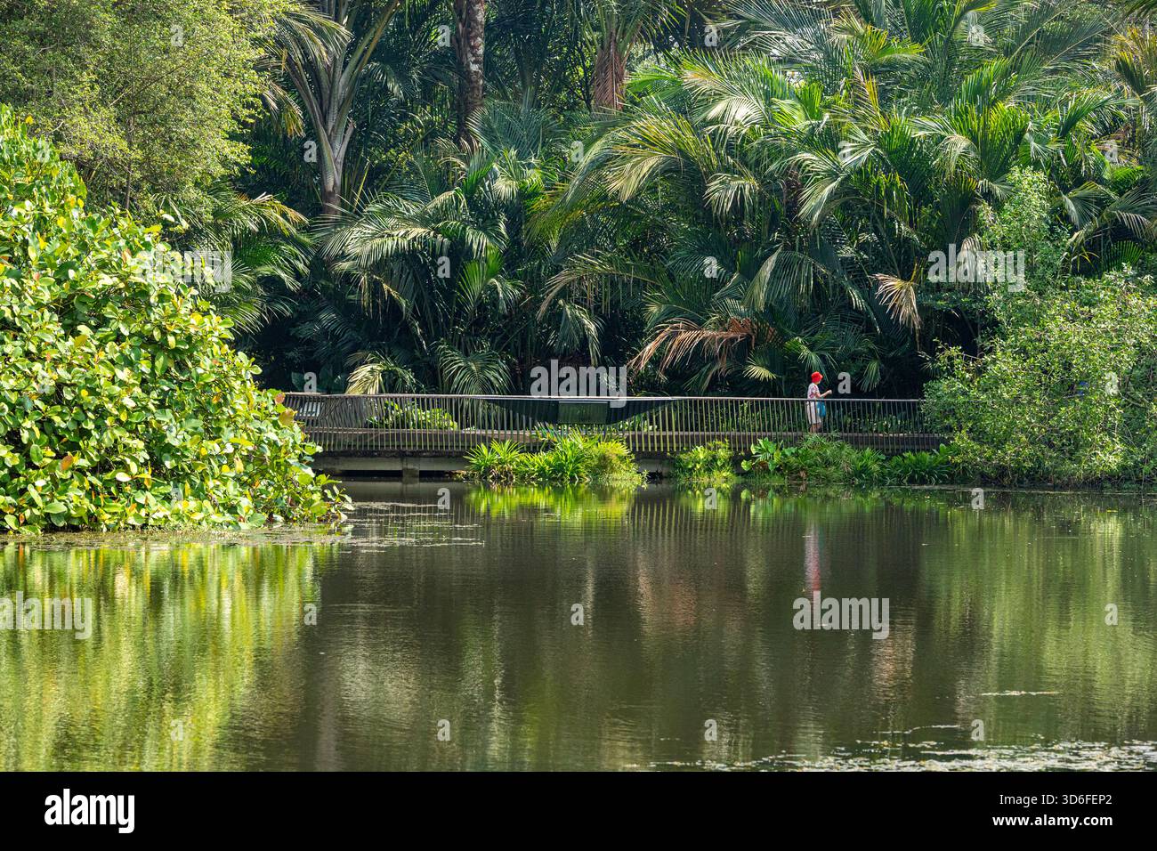 The Eco Lake in the Singapore Botanic Gardens, Singapore, Southeast ...
