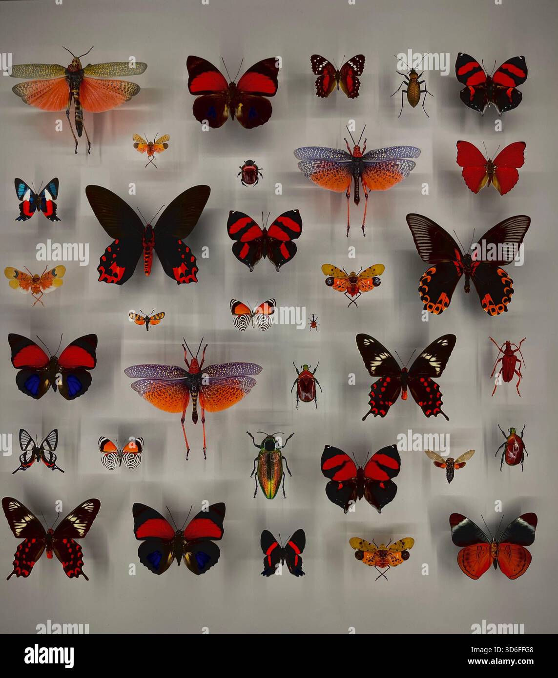Montreal insectarium quebec canada hi-res stock photography and images ...