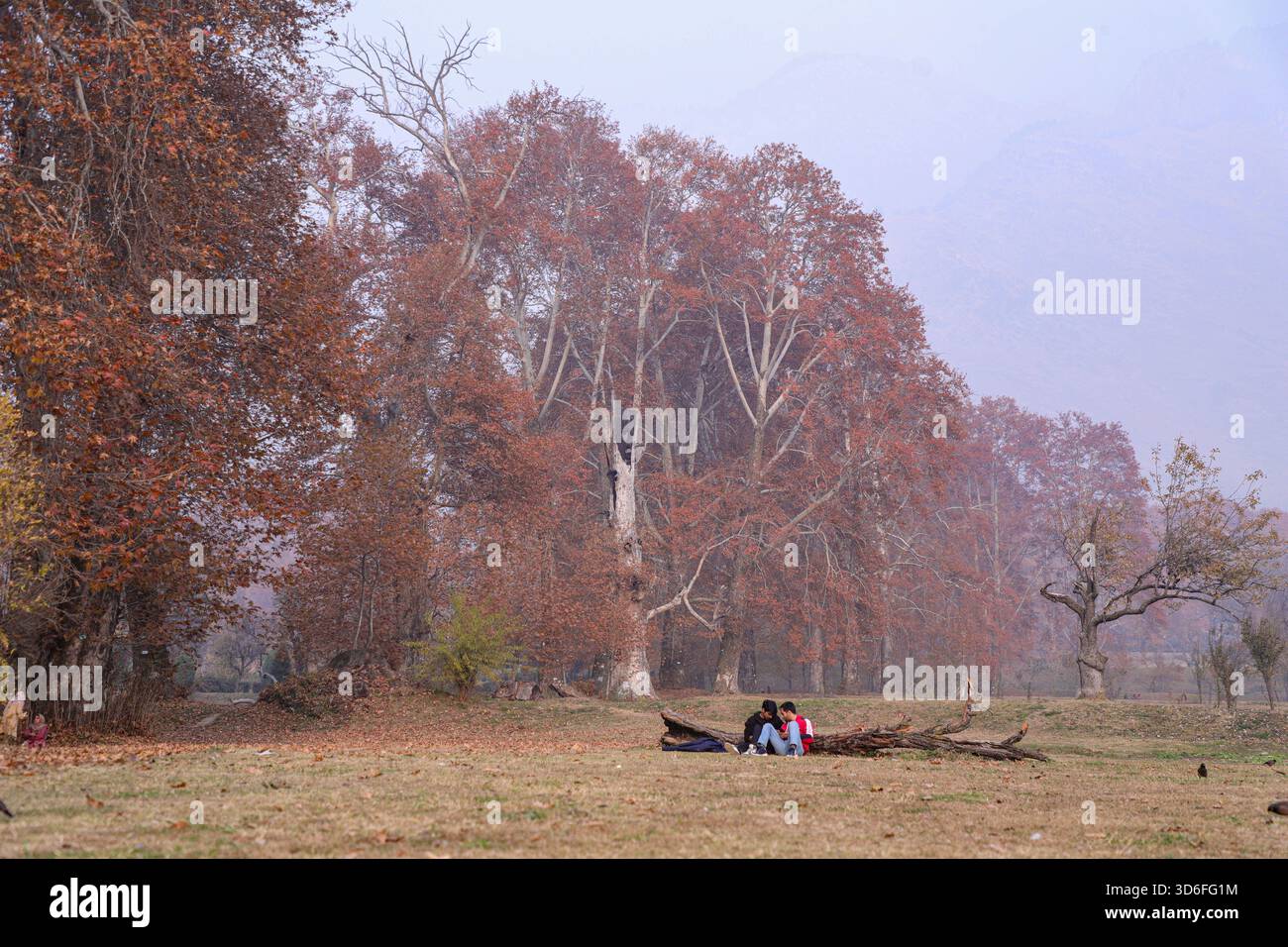 November 20, 2025, Srinagar, Kashmir, India: A view of the Mughal ...