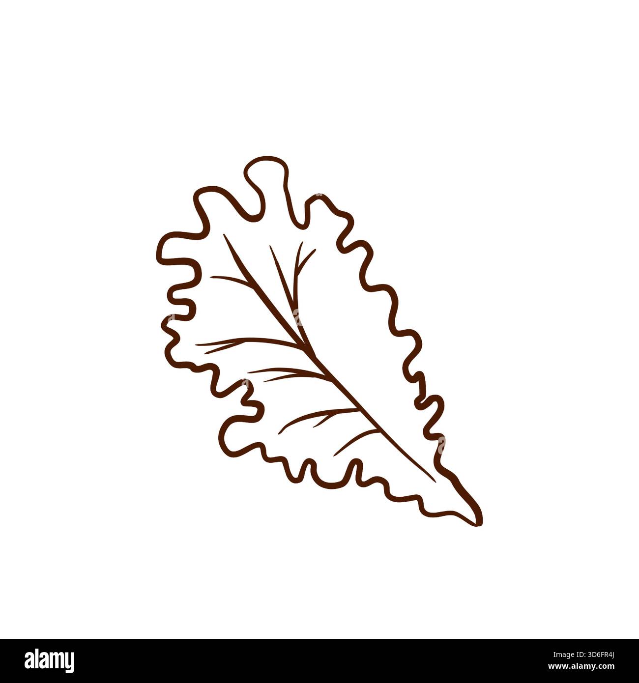 Kitchen leaf lettuce Stock Vector Images - Alamy