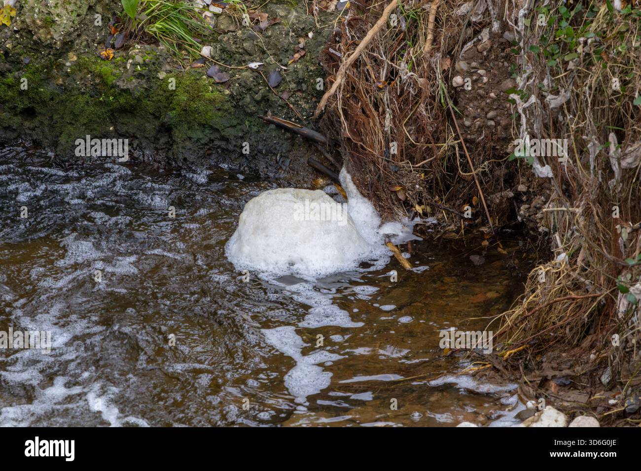Stream water shows pollution foam accumulating by the bank ...