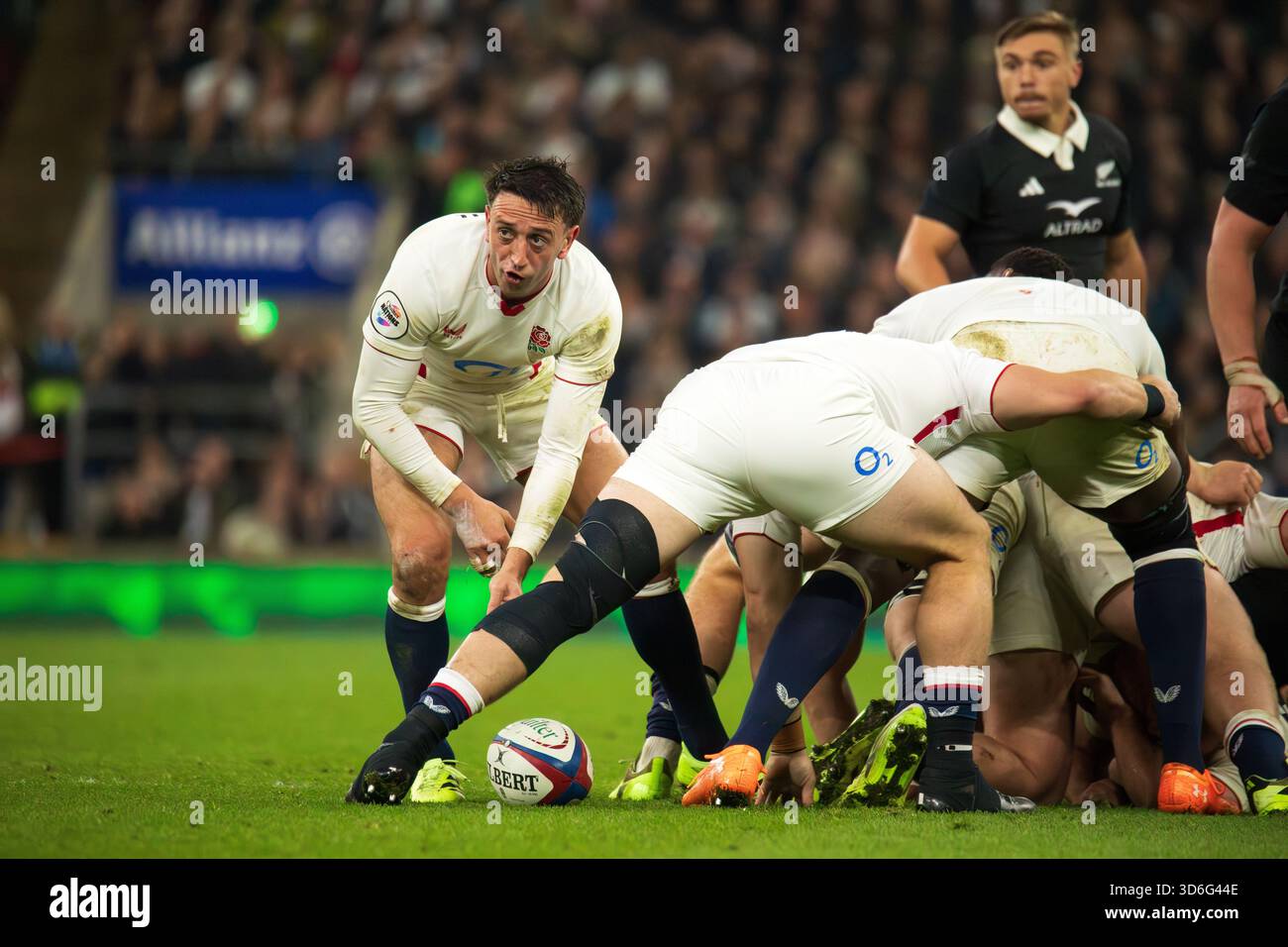 London, UK, 15th November 2025 England scrum half Alex Mitchell works ...