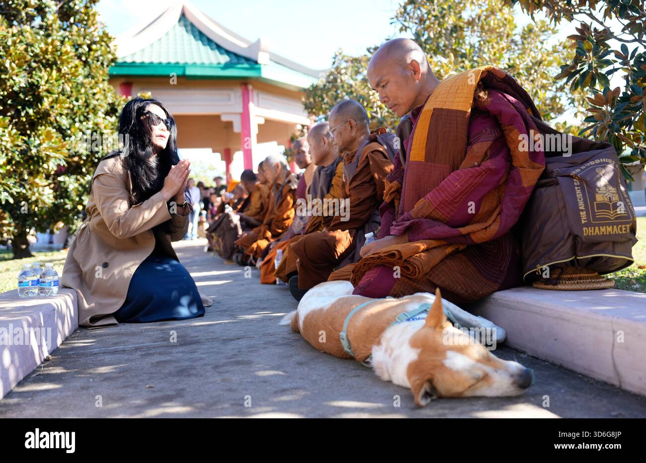 Buddhist monk Panna Kara with dog named Aloka, along with other monks ...