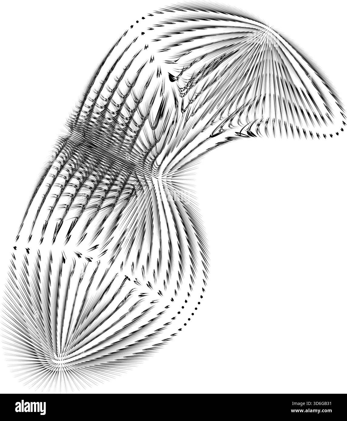Fluid mesh shape features stylized curves and dynamic movement with a ...