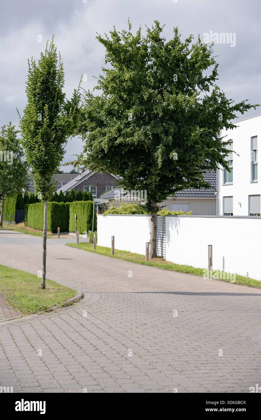 Quiet suburban street with trees, modern houses, and a white wall under ...