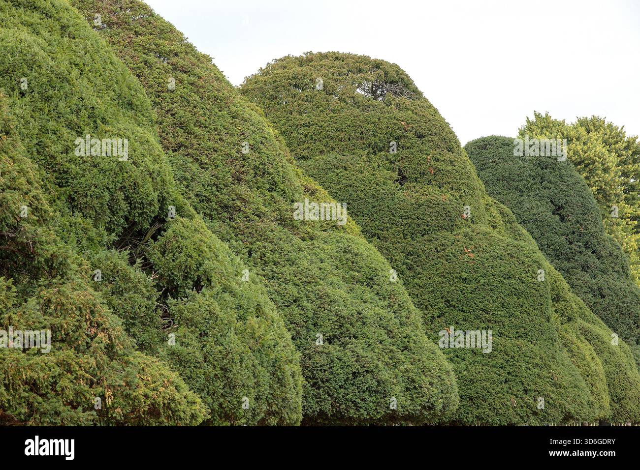 Humps of sculptural natural shapes hi-res stock photography and images ...
