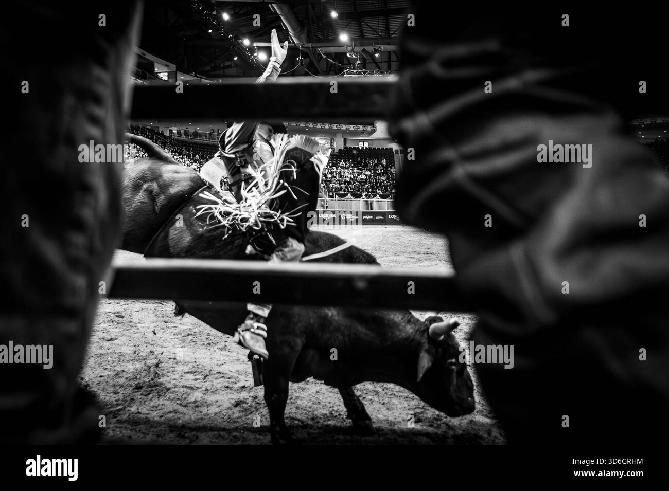 The largest indoor agricultural event in the world hi-res stock ...