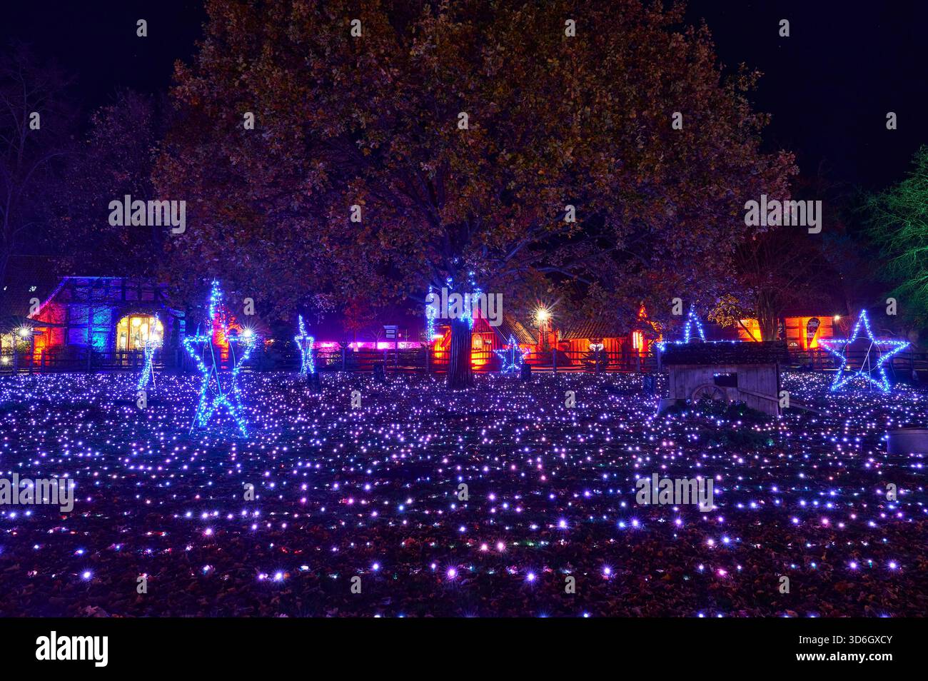 Eröffnung des Christmas Garden 2025 im Erlebnis-Zoo Hannover. Hannover ...