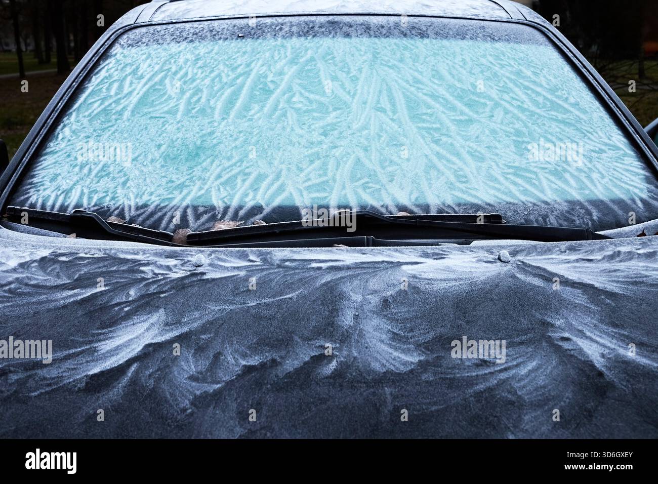 Frost Patterns on Car. A car covered in intricate frost patterns on a ...