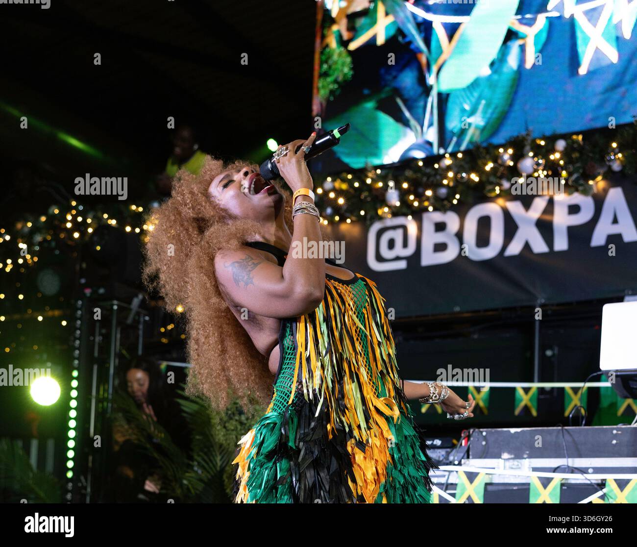 Kele Le Roc at Jamaican National Foundation’s “For the Love of Jamaica ...