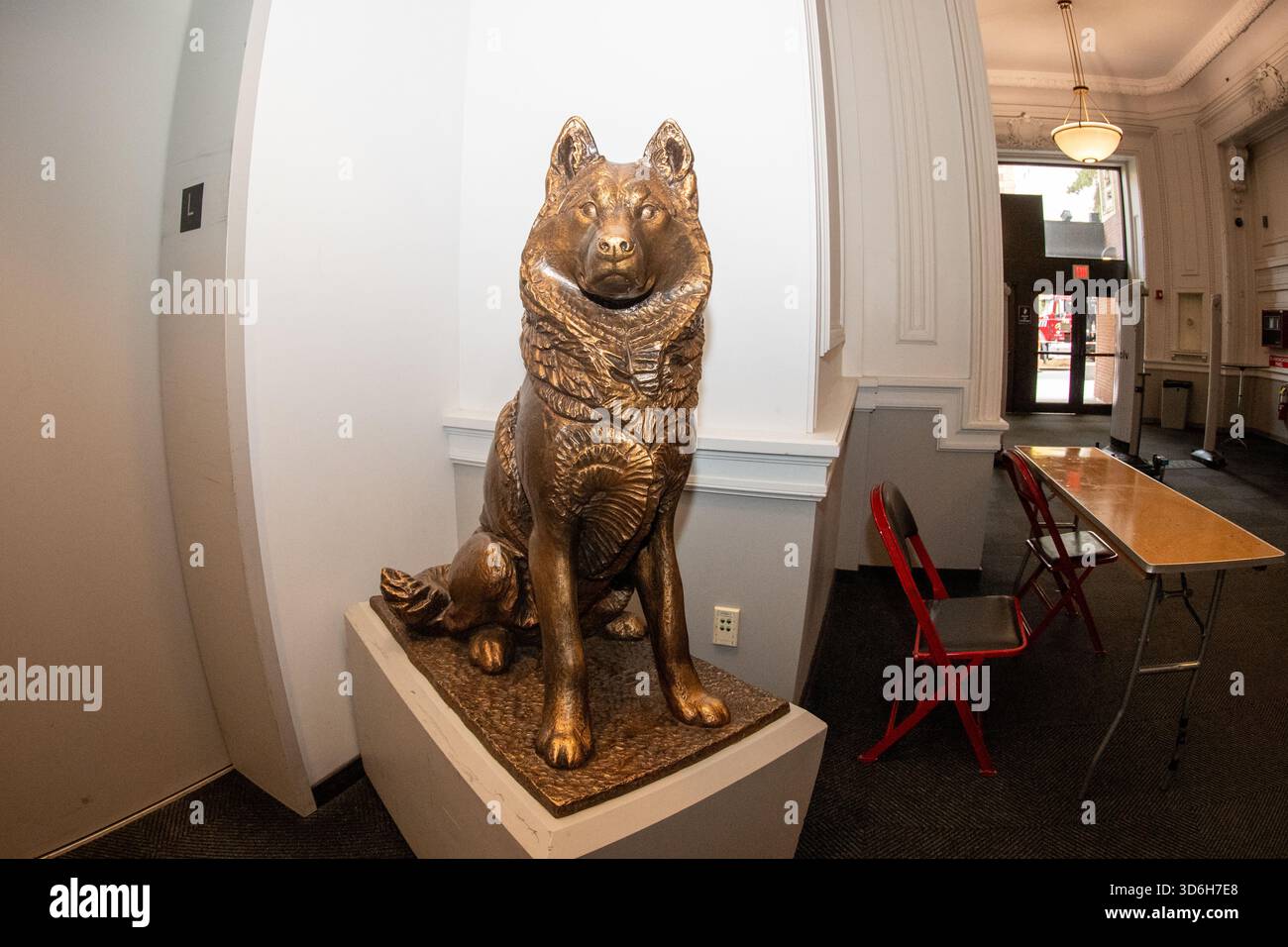 BOSTON, MA - OCTOBER 29: A general view of a bronze husky statue on ...