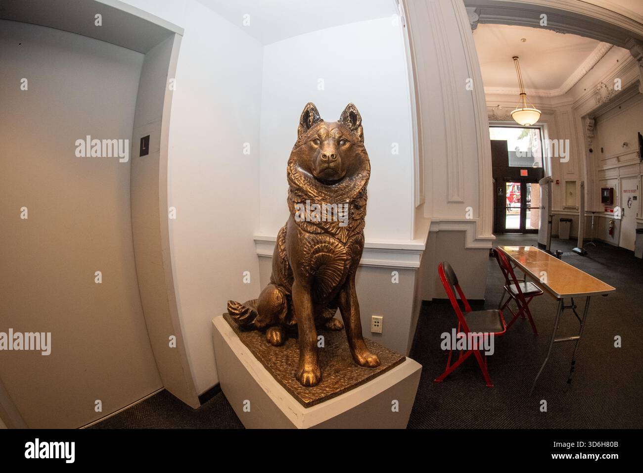 BOSTON, MA - OCTOBER 29: A general view of a bronze husky statue on ...