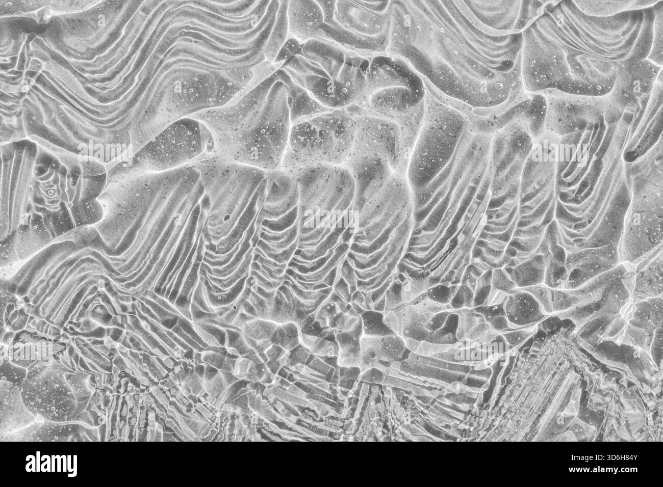 Plant smear Black and White Stock Photos & Images - Alamy