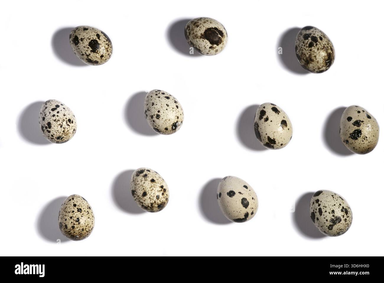 Creative quail egg layout Cut Out Stock Images & Pictures - Alamy
