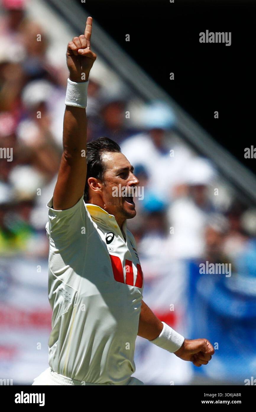 Australia's Mitchell Starc celebrates the wicket of England's Zak ...