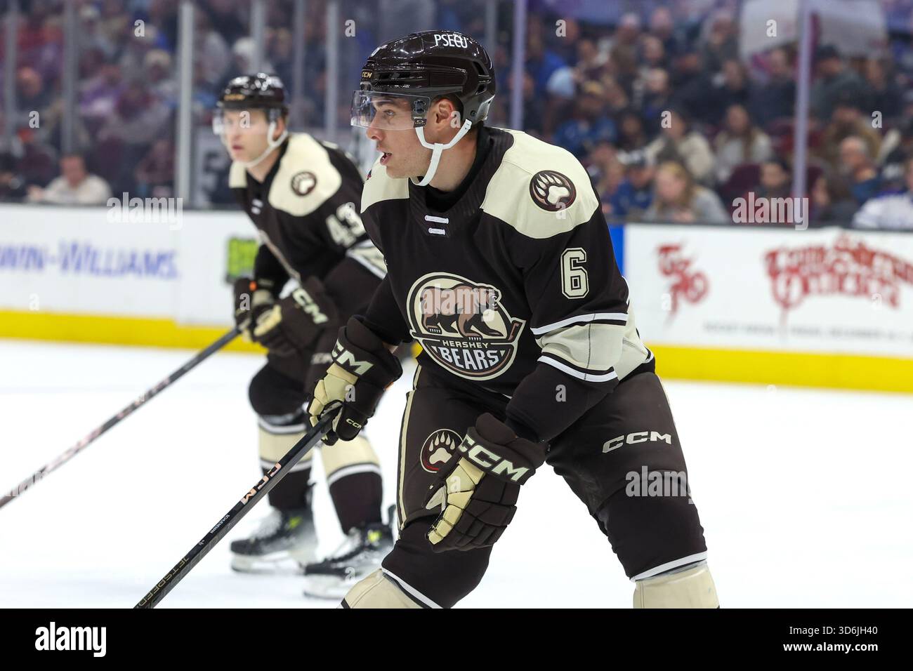 CLEVELAND, OH - NOVEMBER 20: Hershey Bears defenseman Corey Schueneman ...