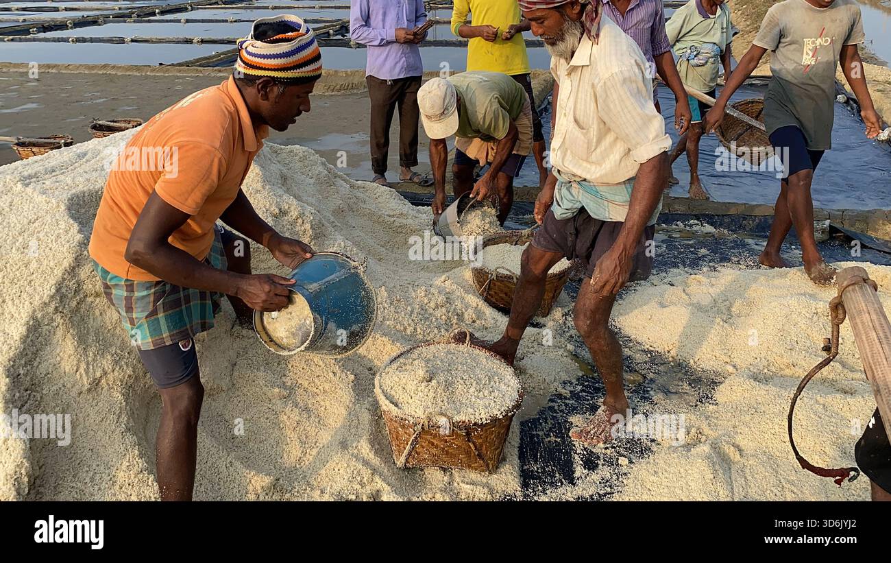 Salt Making Process in Salt Field - Traditional Coastal Industry and ...