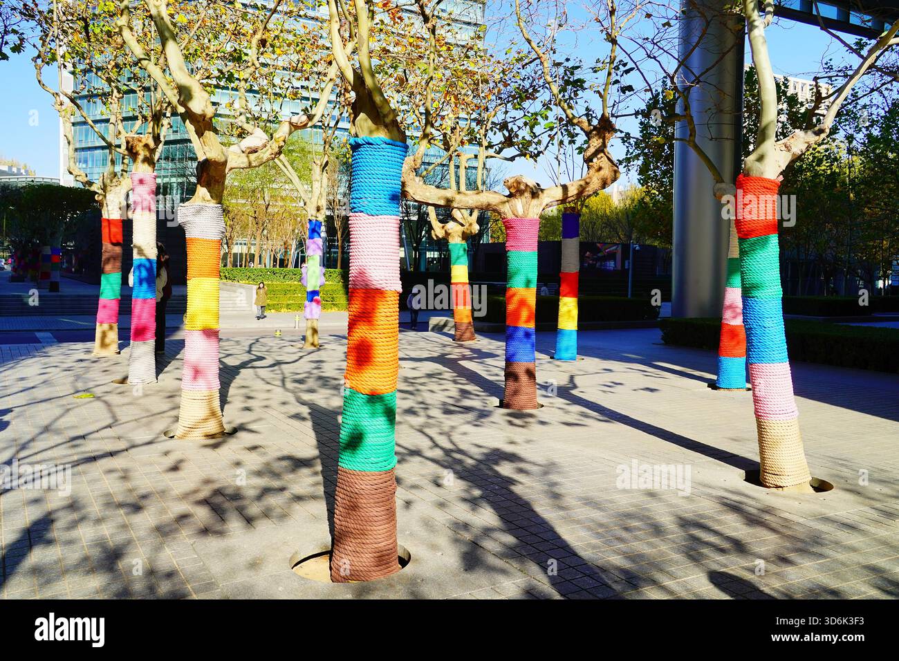 Trees on the street are put on brightly colored "sweaters" for winter ...