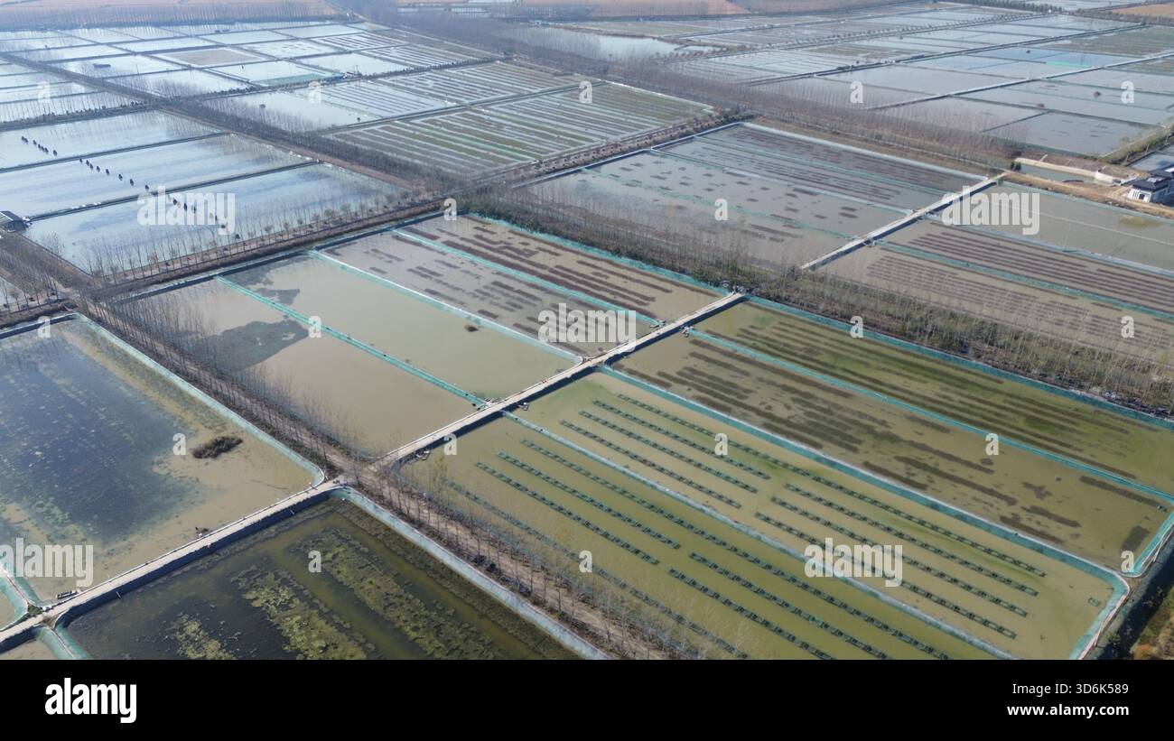 Aerial photo shows the aquaculture pond in Sihong County, Suqian City ...