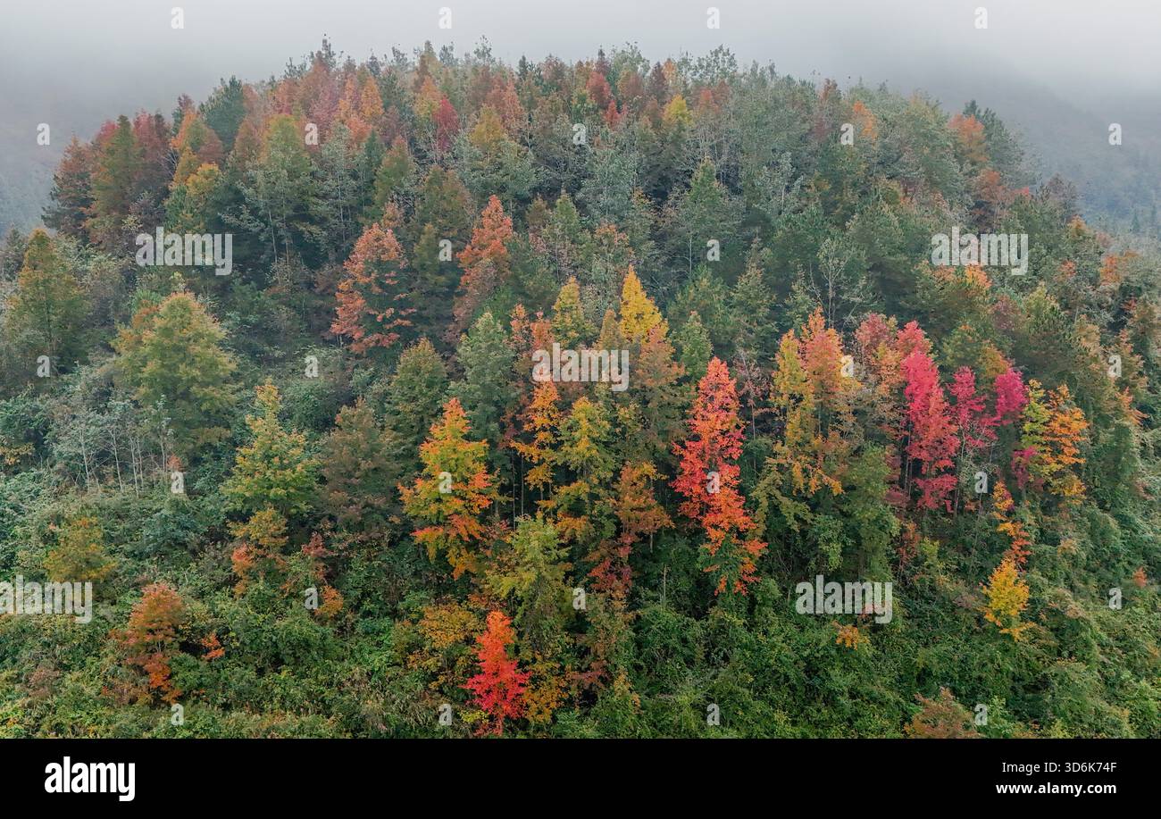Aerial photo shows the early winter scenery in Youyang County ...