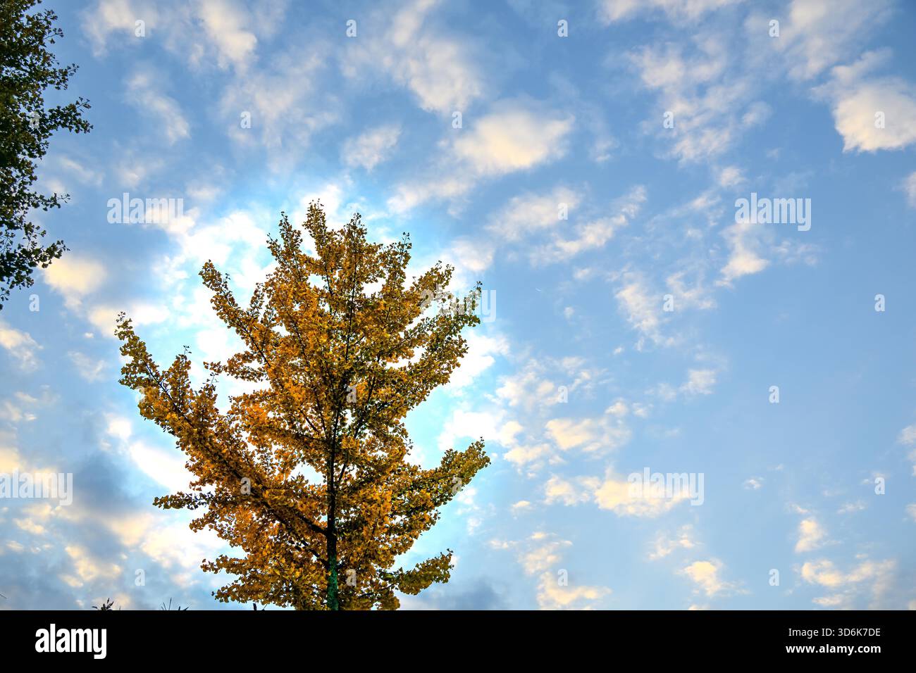 Aerial photo shows the early winter scenery in Youyang County ...