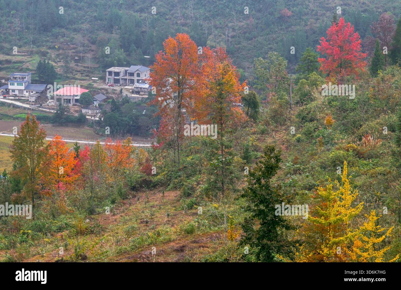 Aerial photo shows the early winter scenery in Youyang County ...