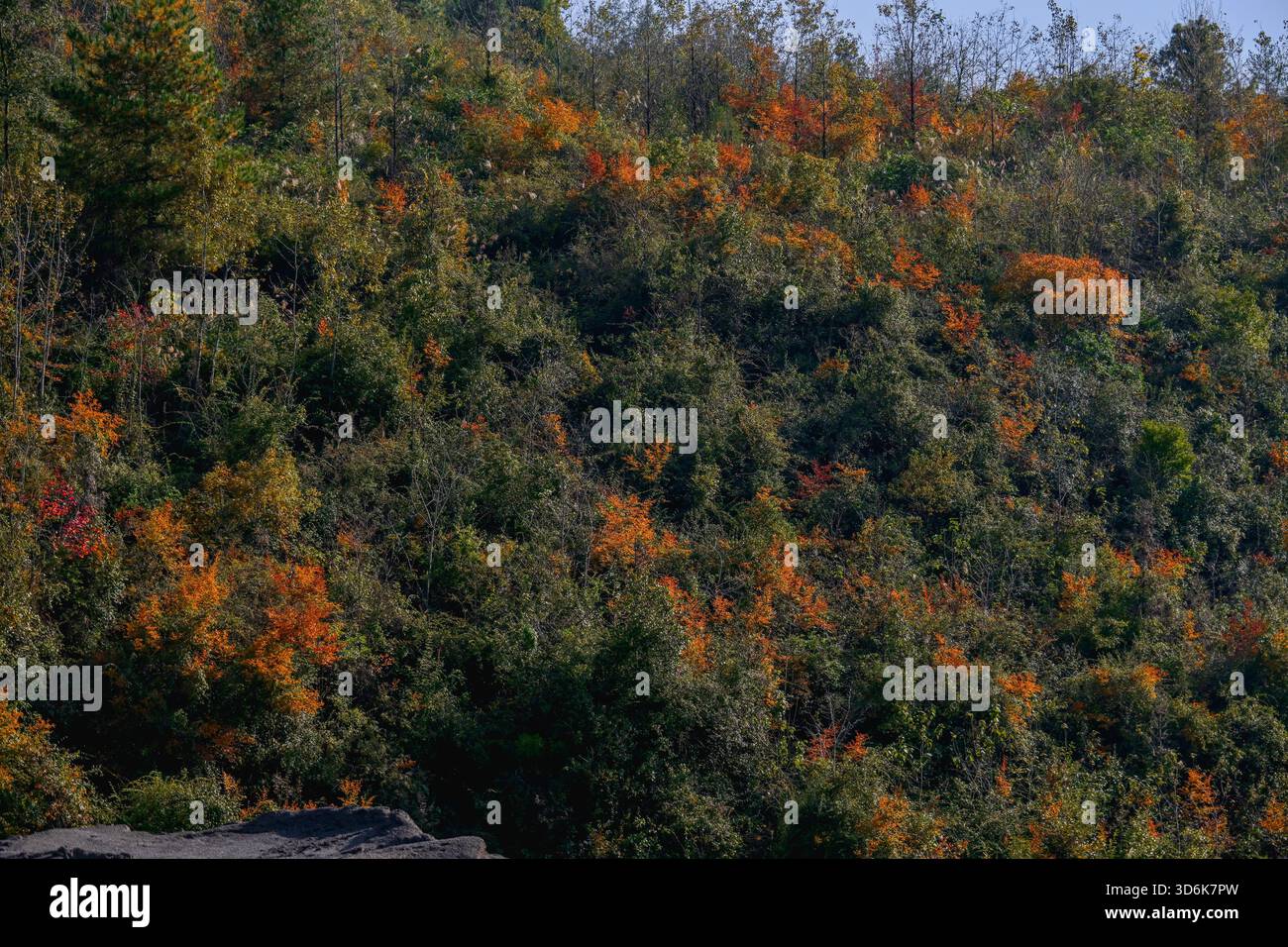 Aerial photo shows the early winter scenery in Youyang County ...