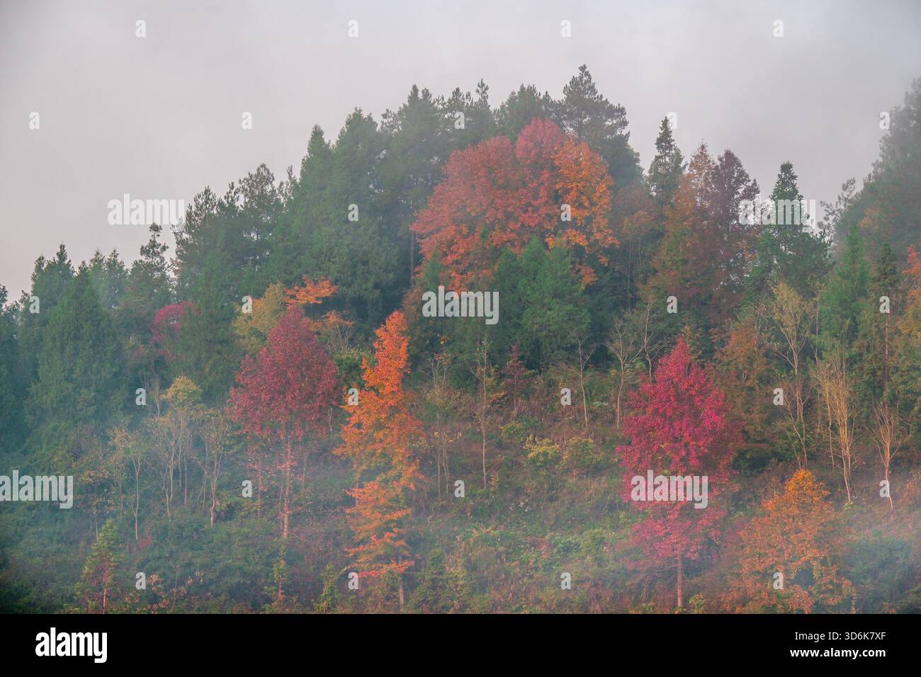 Aerial photo shows the early winter scenery in Youyang County ...
