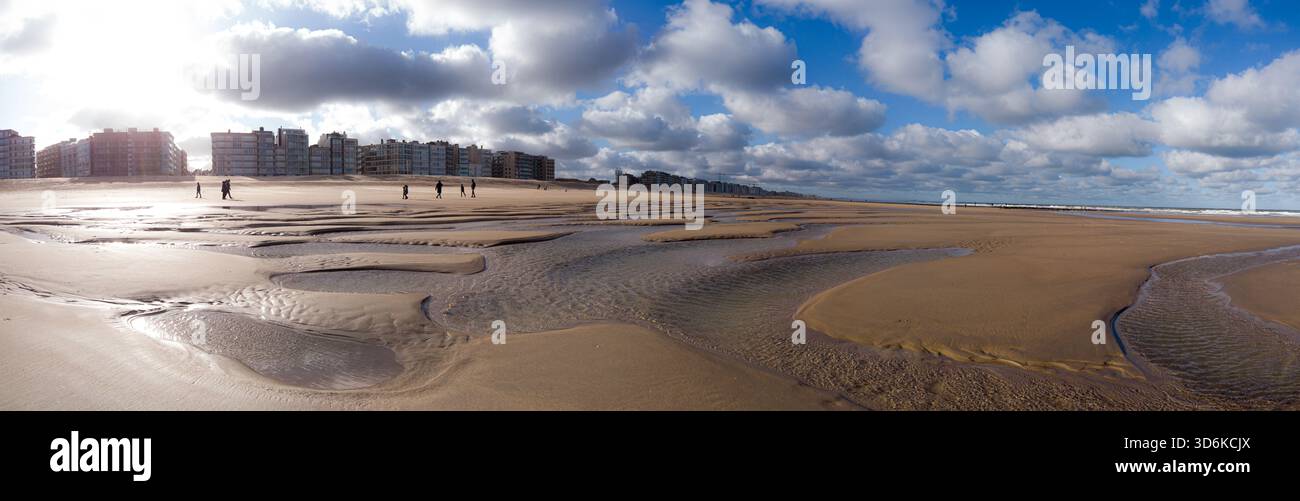 A wide, sunlit beach with shallow tidal pools and rippled wet sand ...