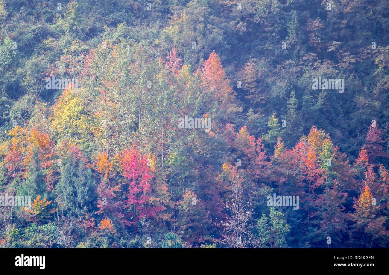 Aerial photo shows the early winter scenery in Youyang County ...