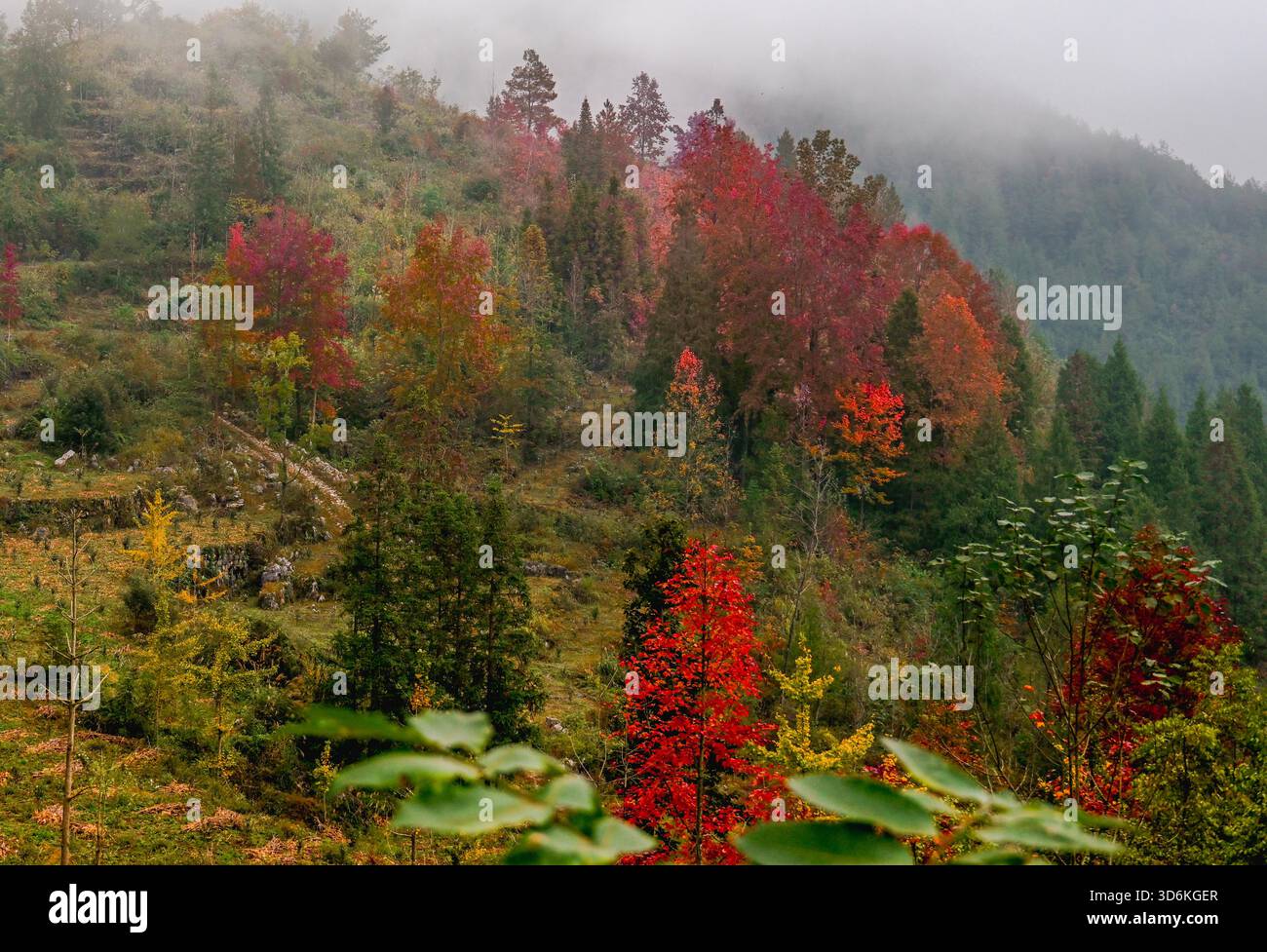 Aerial photo shows the early winter scenery in Youyang County ...