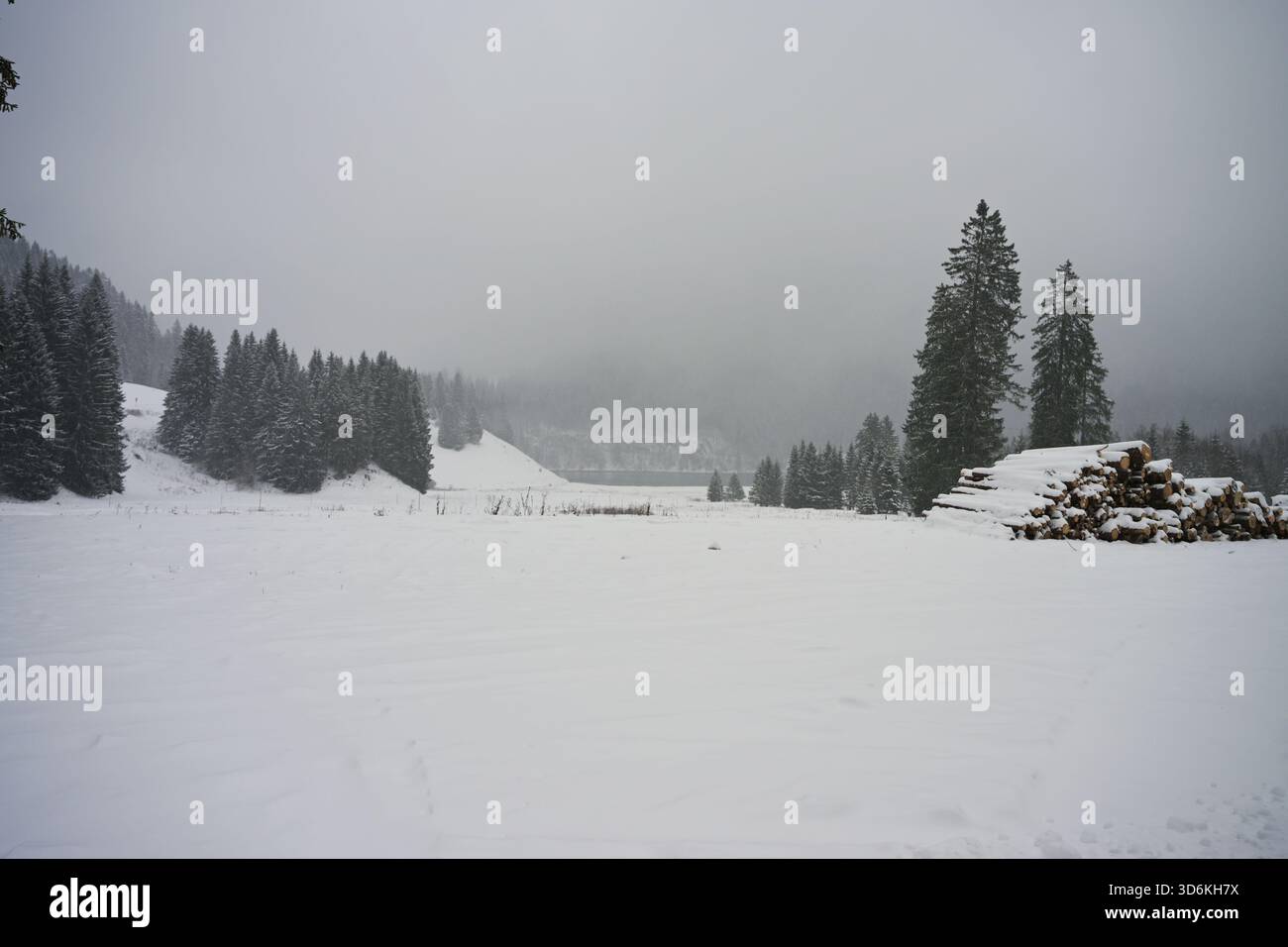 21 November 2025, Bavaria, Spitzingsee: Snow and fog surround the ...
