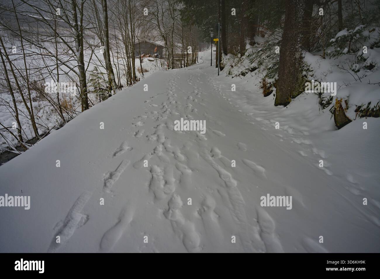 21 November 2025, Bavaria, Spitzingsee: Footprints can be seen on the ...