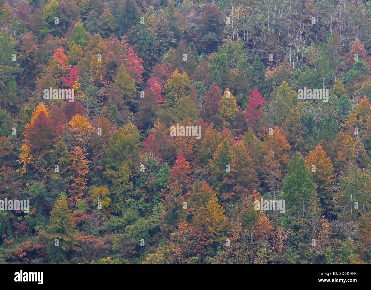 Aerial photo shows the early winter scenery in Youyang County ...