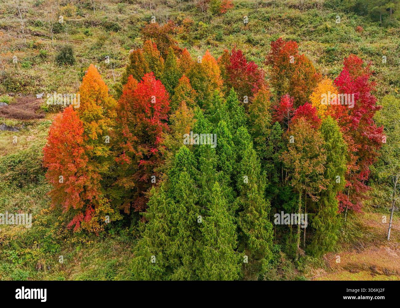 Aerial photo shows the early winter scenery in Youyang County ...