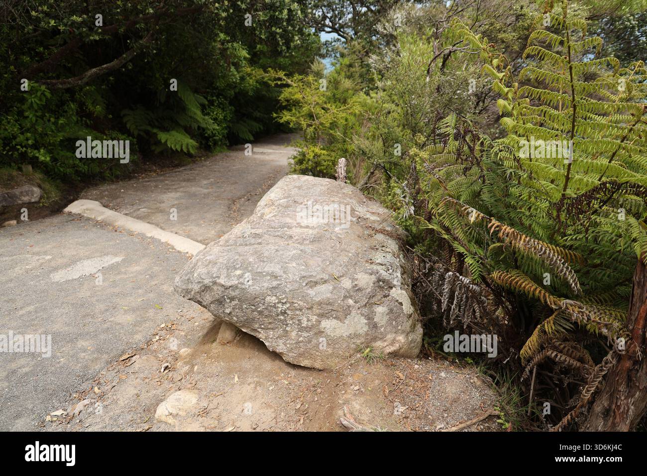 Forest Trail Bending Around Large Mossy Boulder Stock Photo - Alamy