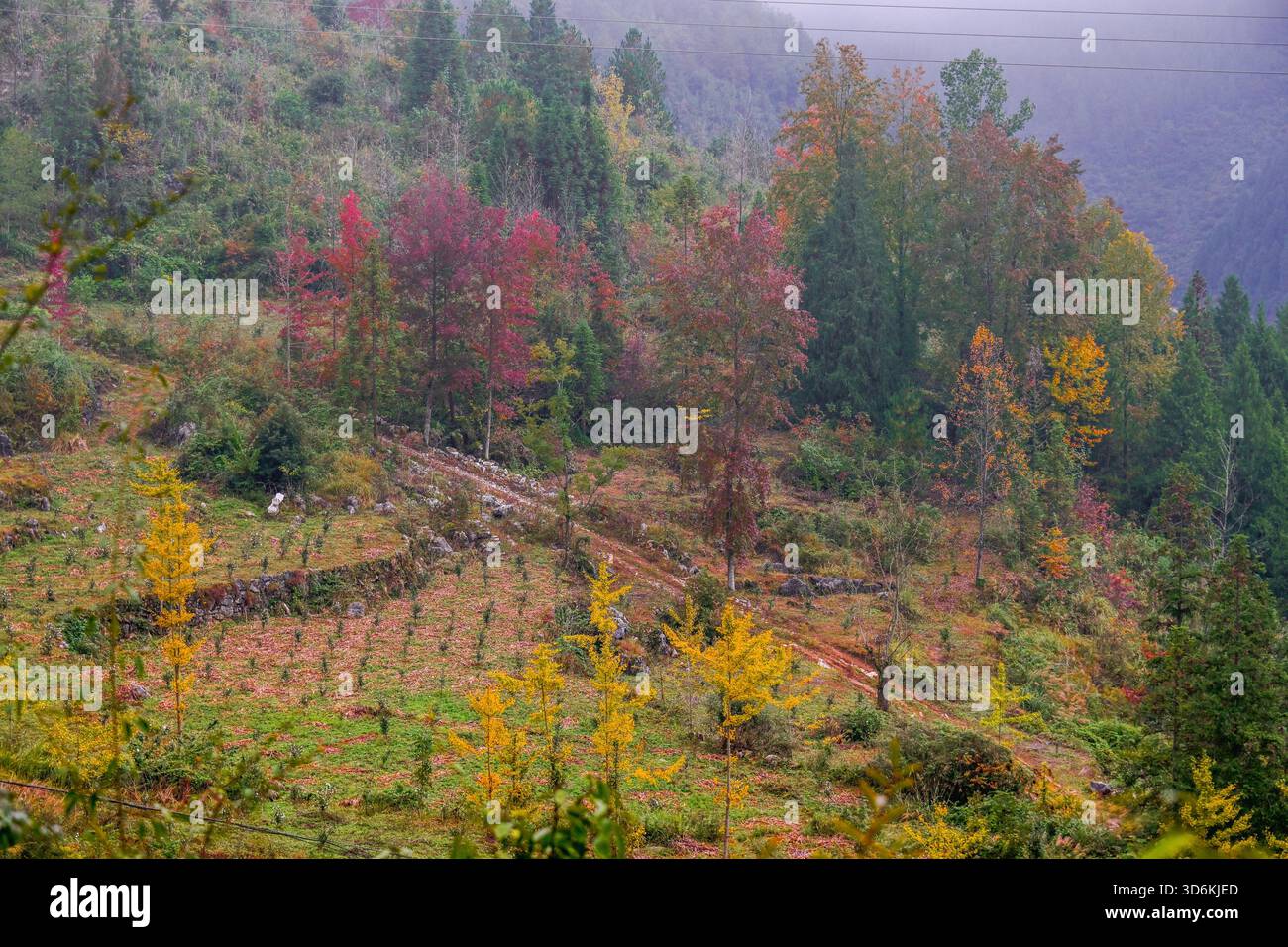 Aerial photo shows the early winter scenery in Youyang County ...