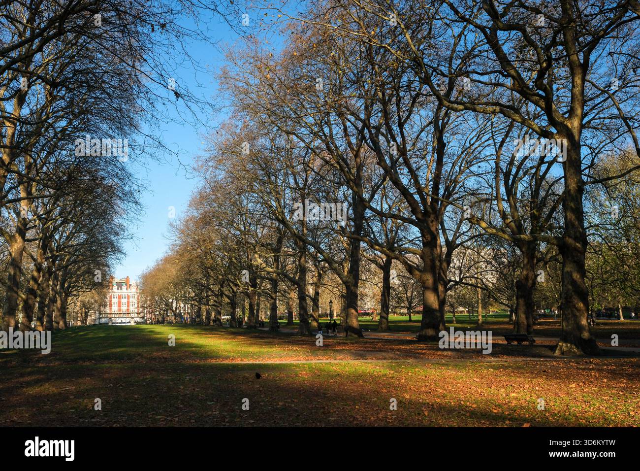 London, UK. 21st Nov 2025. A cold autumn morning in London. Green Park ...