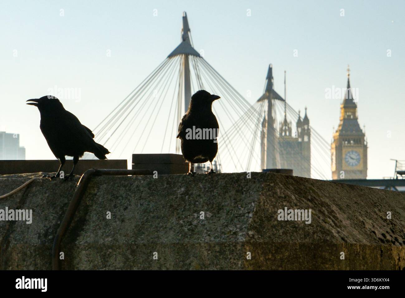 London, UK. 21st Nov 2025. A cold autumn morning in London. Embankment ...