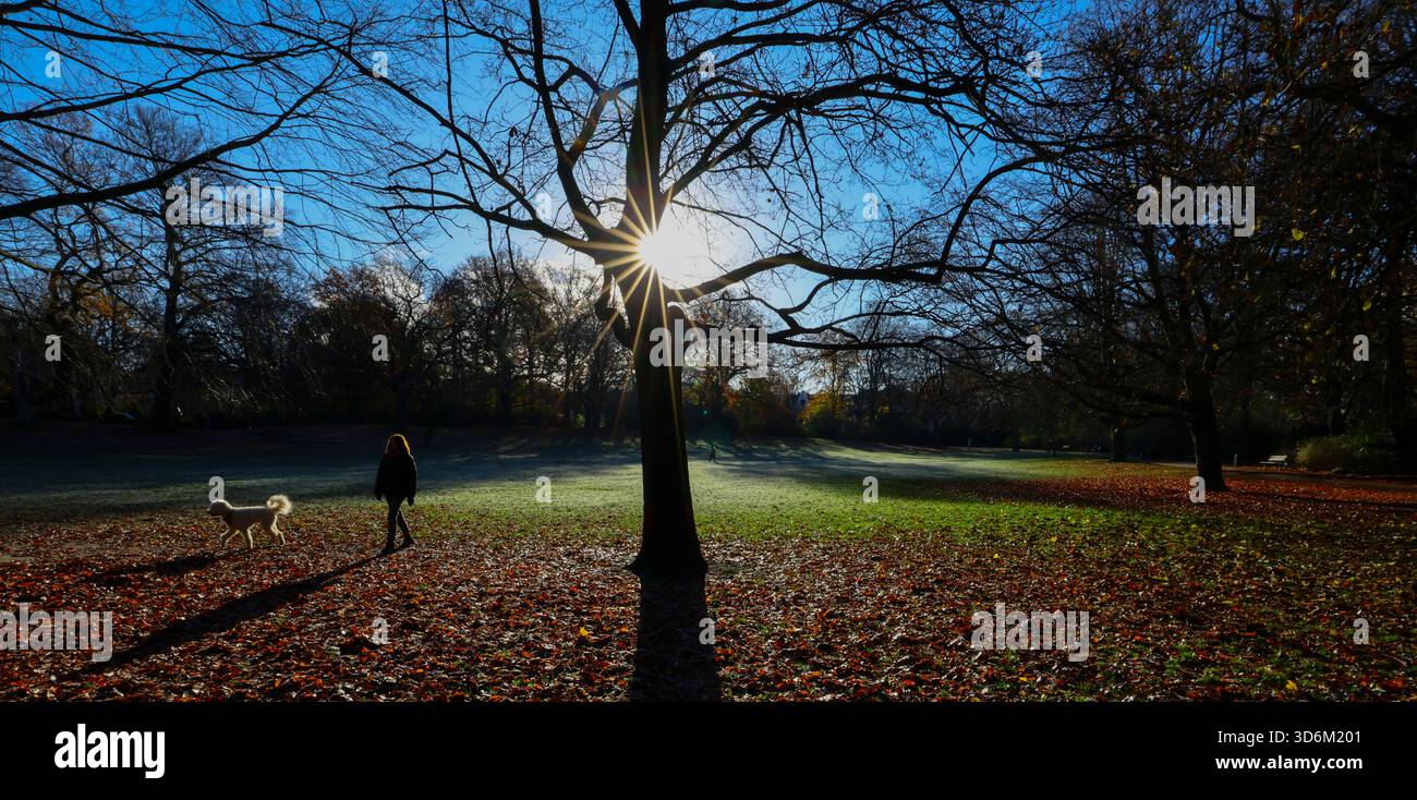 21 November 2025, Hamburg: Walkers stroll through Innocentia Park with ...