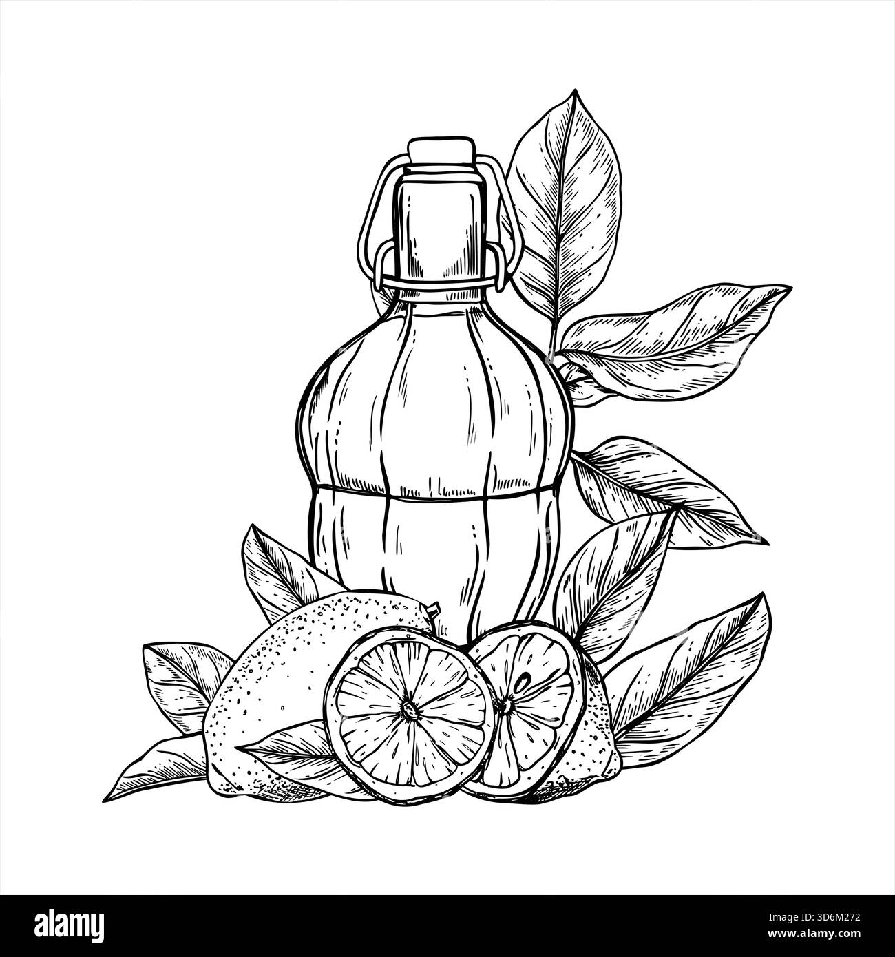 Fruits aperitif Stock Vector Images - Alamy
