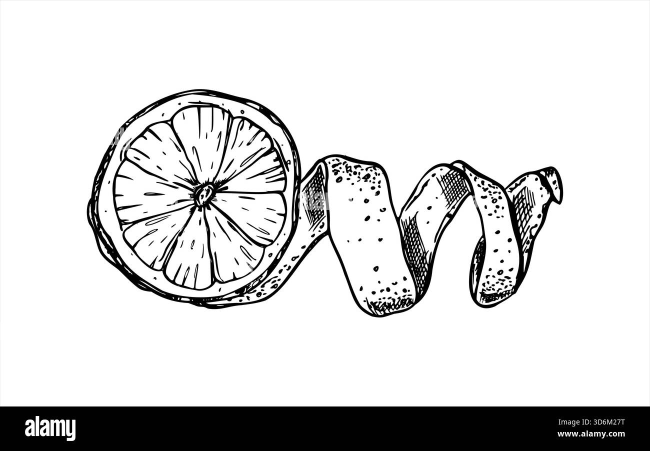 Cross section citrus with spiral peel vector illustration. Lemon or ...