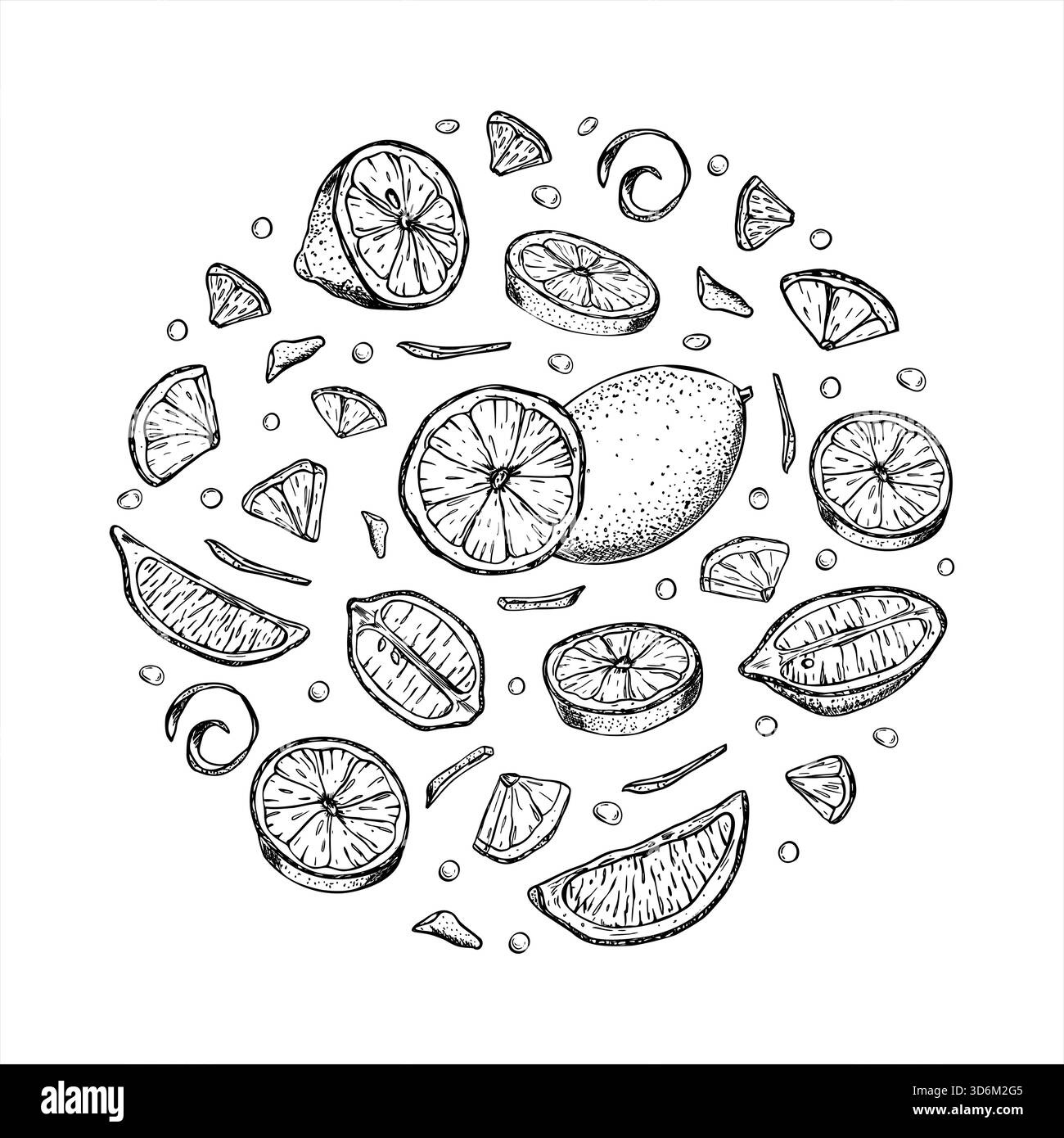 Vitamin in lemon line Stock Vector Images - Alamy