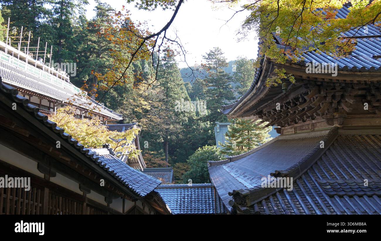 Eiheiji Temple – The Tranquil Zen Monastery of Mount Yoshishō, Fukui ...