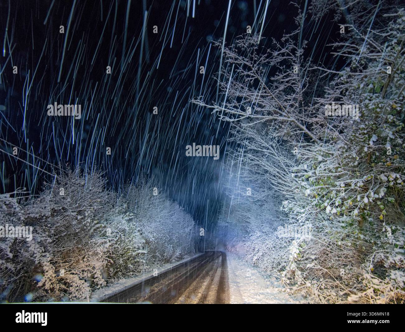 Early snowfall in Normandy. France on November 20, 2025. Photo by Mario ...