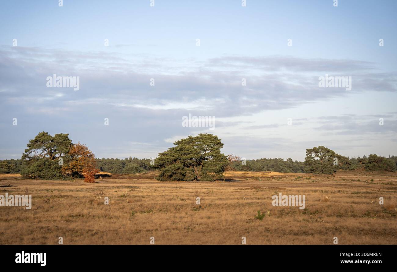 OTTERLO - De Hoge Veluwe National Park. The De Hoge Veluwe National ...