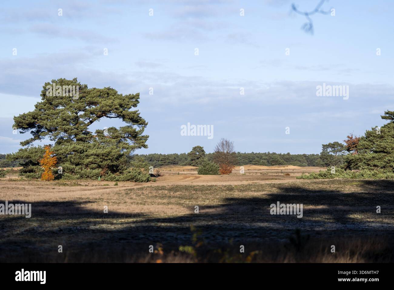 OTTERLO - De Hoge Veluwe National Park. The De Hoge Veluwe National ...