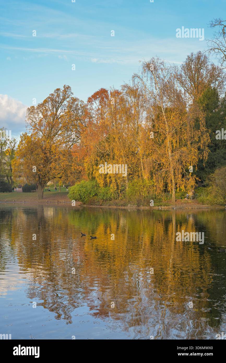 Herbst im Landschaftspark Warmer Damm, Salzbach Teich, Wiesbaden ...